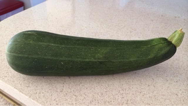 A Weekend of Zucchini!! - Thrifty Wife Happy Life